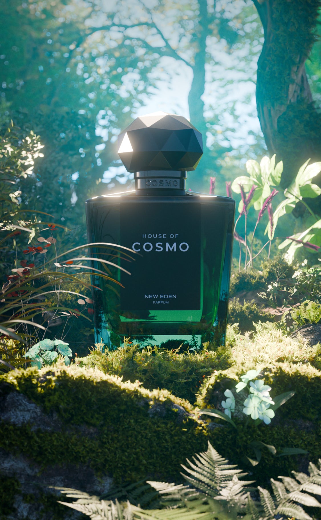 NEW EDEN | House of Cosmo